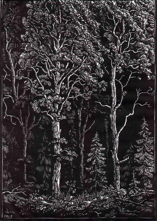 Rudolf Riege - EICHENWALD im FLACHLAND Gigantischer OriginalHolzschnitt ...