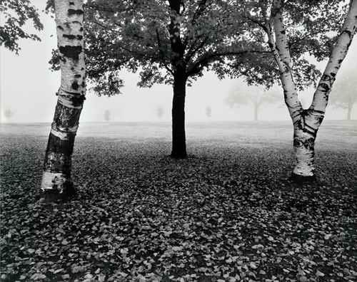 Douglas Busch - SINNISSIPPI PARK ROCKFORD - Signierte CONTINUOUS TONE ...