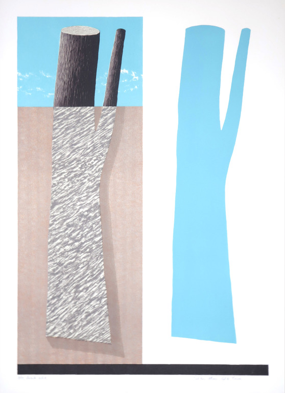 Erik Roos - Erik Roos: Zeefdruk, Albigesi Verkocht | Kunstveiling.nl