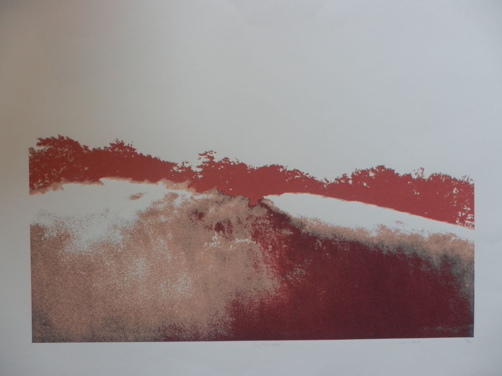 Maria Strik - MARIA STRIK Gr Zeefdruk LANDSCAPE Handgesigneerd Verkocht ...