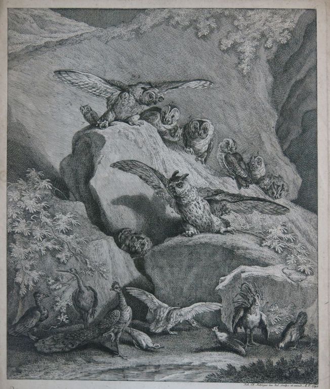 Johann Elias Ridinger - Johann Elias Ridinger: Ets, Pauw Verkocht ...