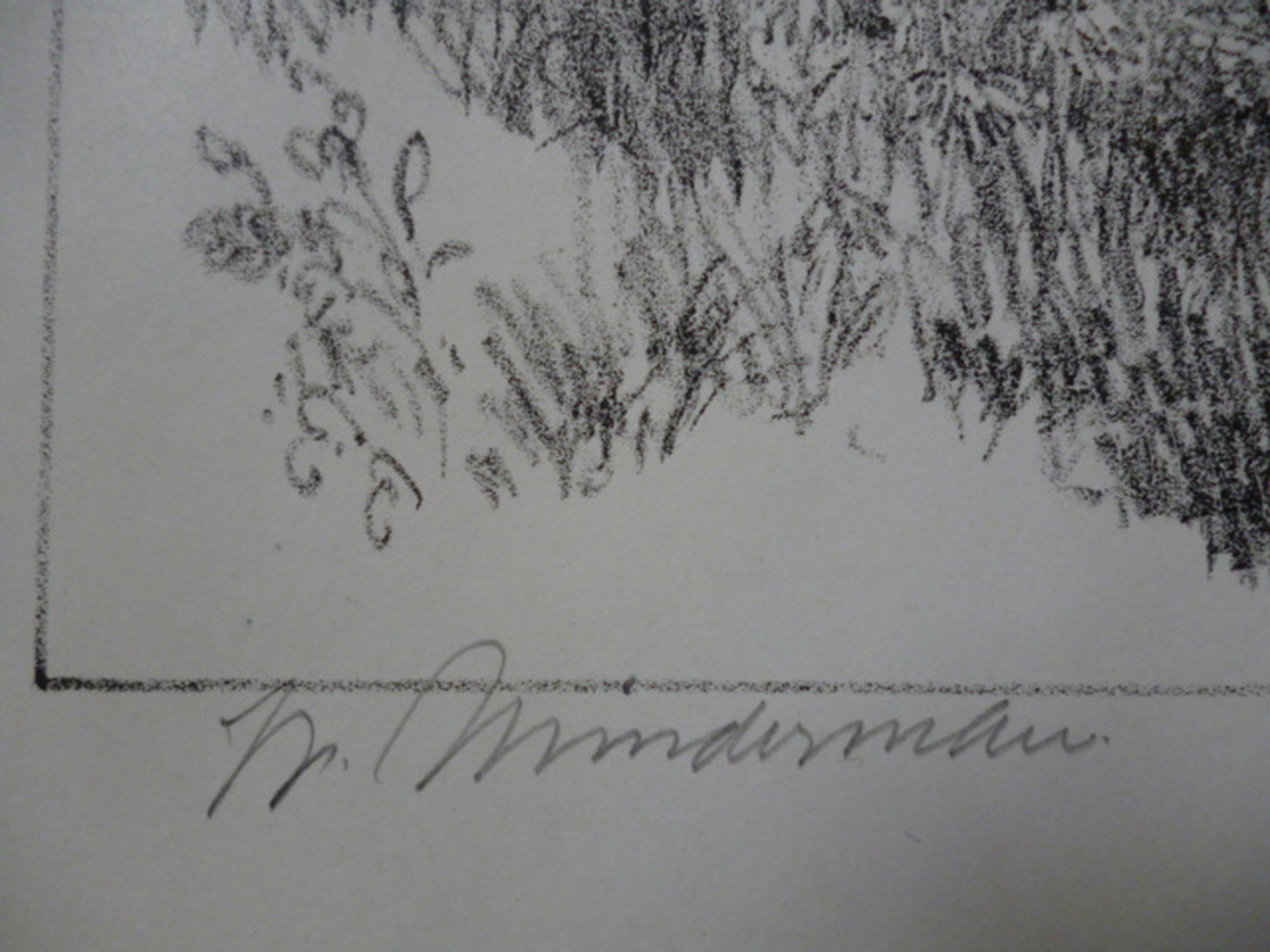 Willem Minderman - litho - Canne Verkocht | Kunstveiling.nl