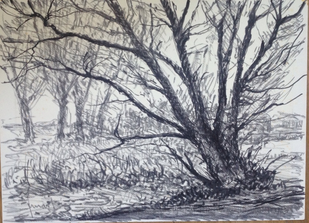 Frans Mars - Frans Mars: houtskool op papier, Boslandschap Verkocht ...