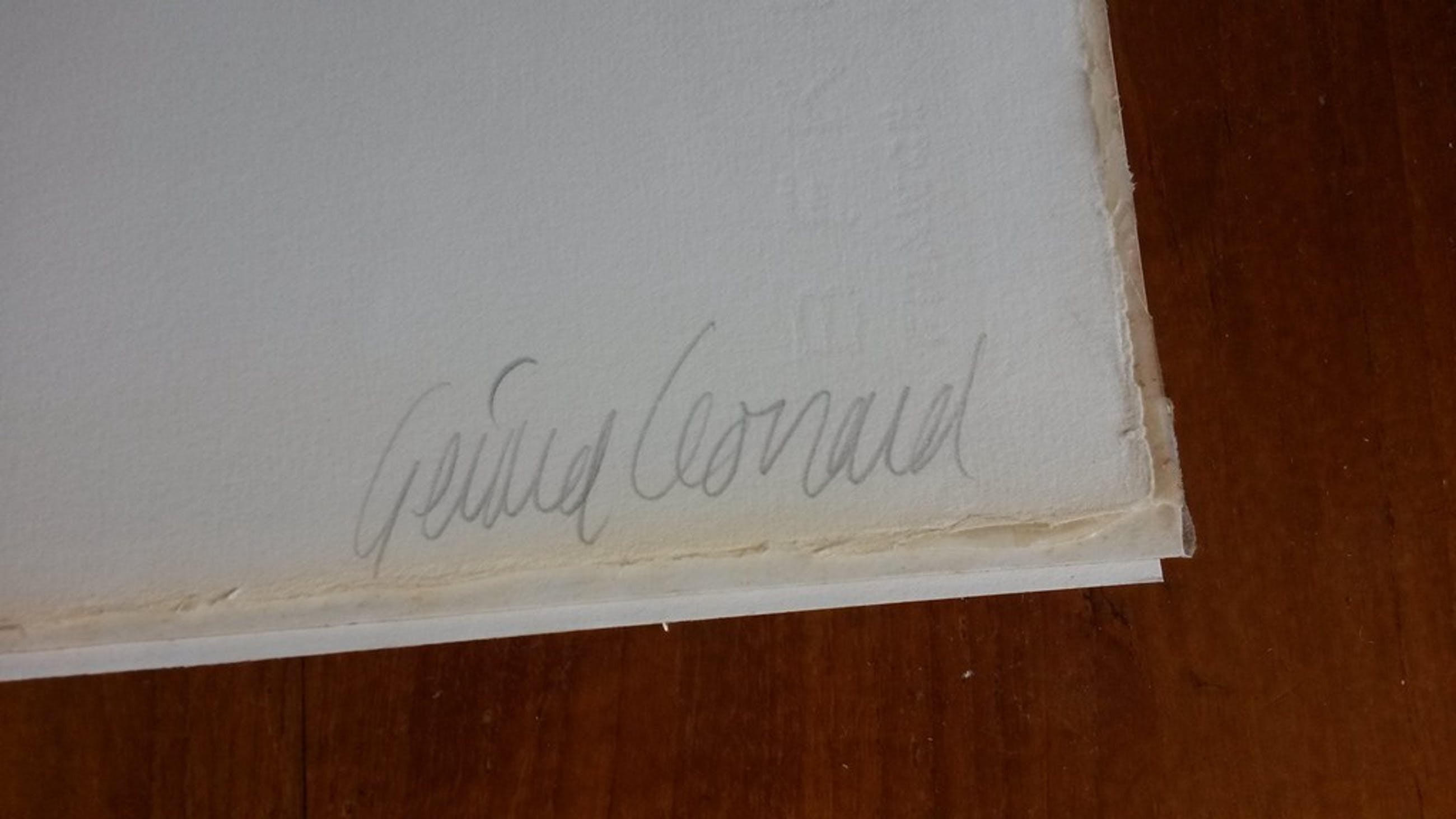 Gerard Leonard van den Eerenbeemt - Mooie Kleurenlitho van Gerard ...