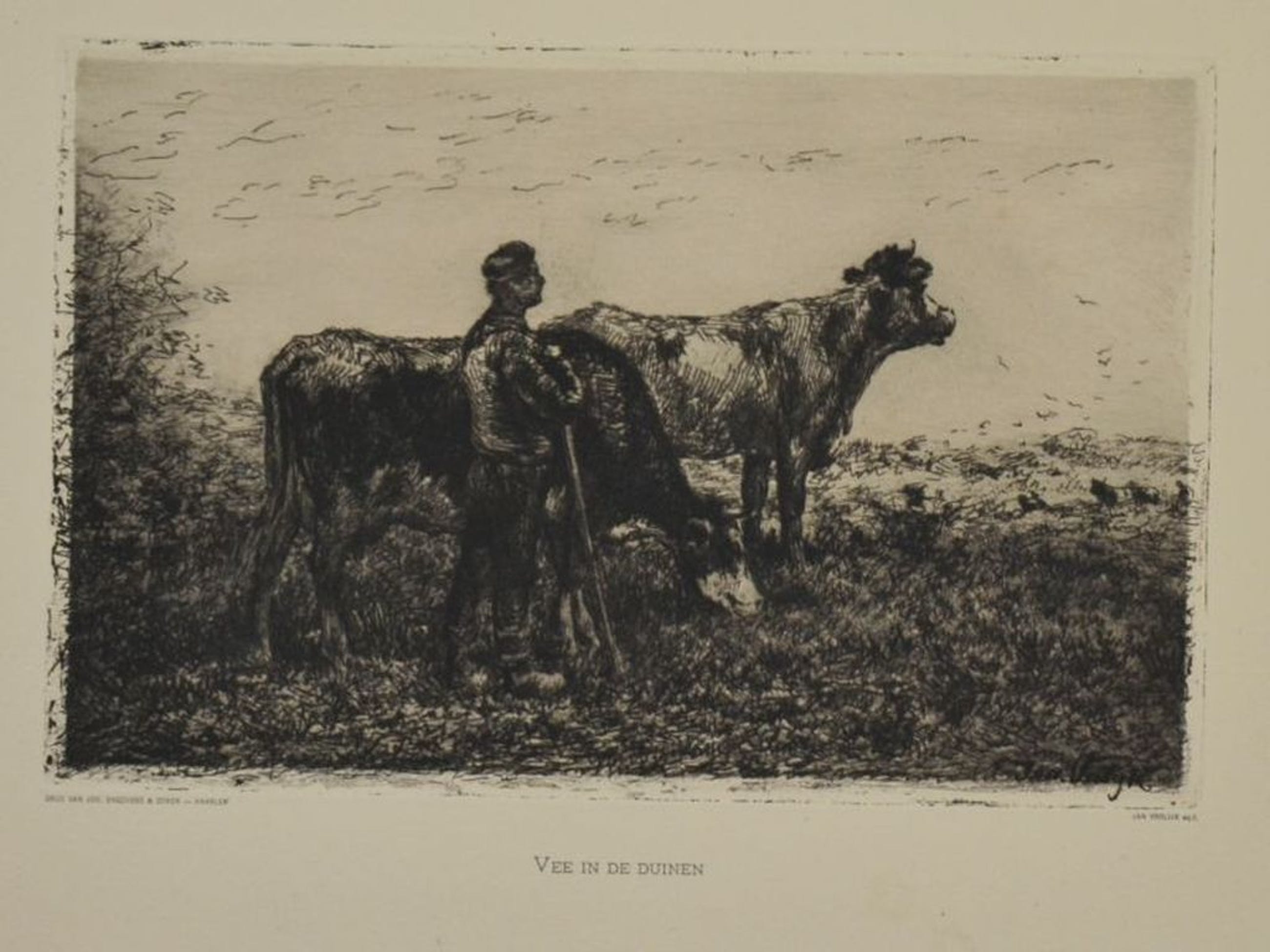 Jan Vrolijk - Jan Vrolijk: Ets, Vee in de duinen Verkocht | Kunstveiling.nl