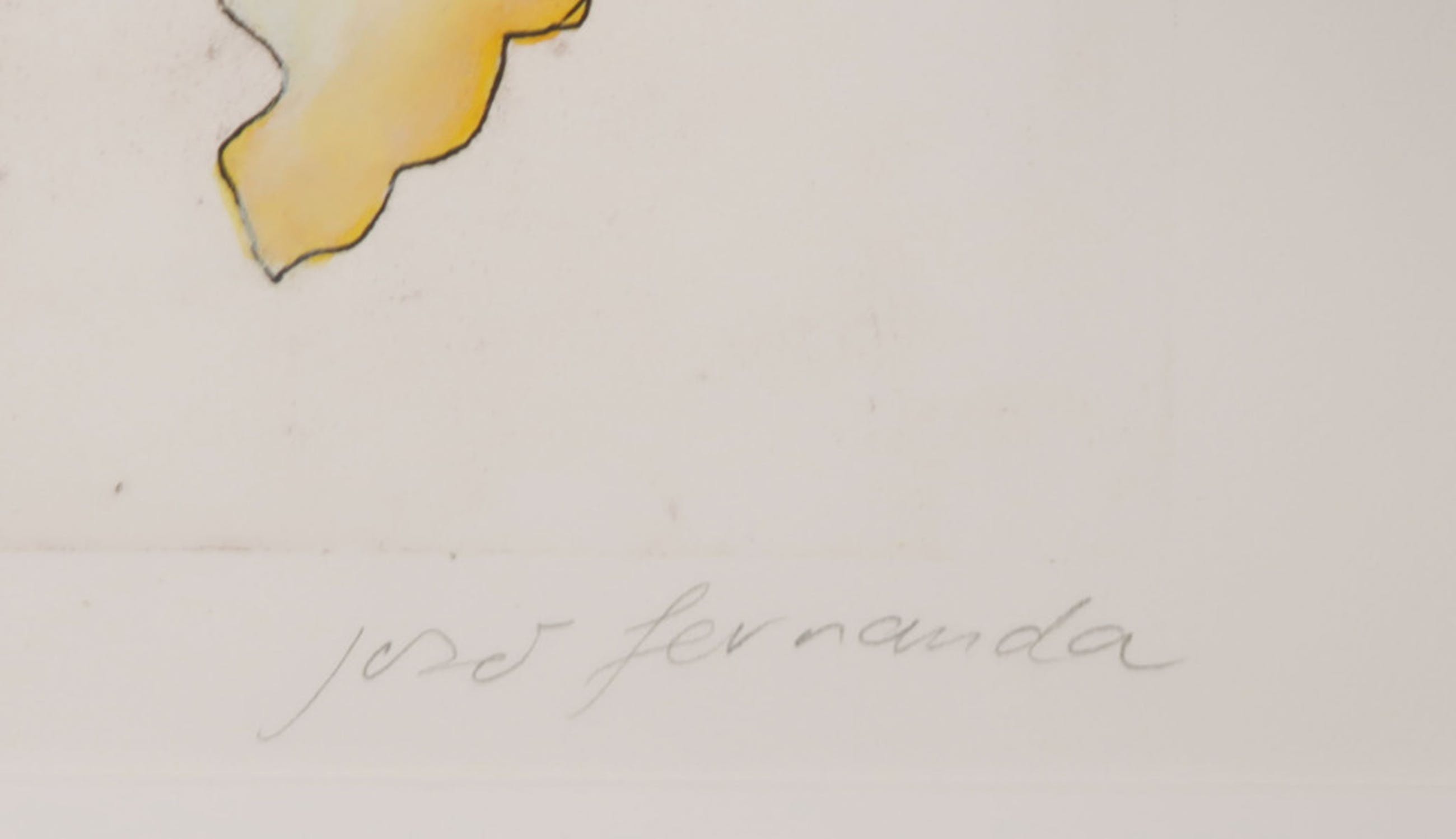 Jose Fernanda - Jose Fernanda: Handbewerkte Ets, Jong gestorven ...