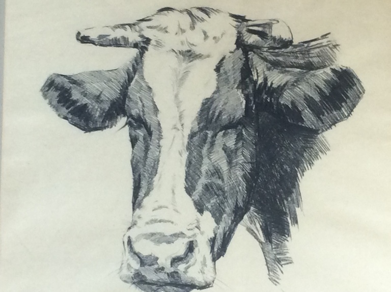 Willem Frederik Noordijk - Willem Noordijk 1887-1970 Tekening koeien ...