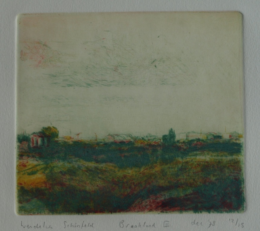 Wendelien Schonfeld - Wendelien Schönfeld : Kleurenets –Braakland III ...