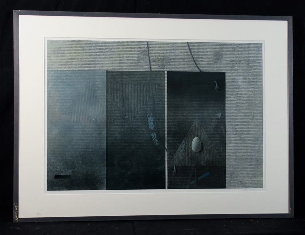 Eugene Jongerius - Eugene Jongerius: Zeefdruk, Vogelhuis II - Ingelijst ...