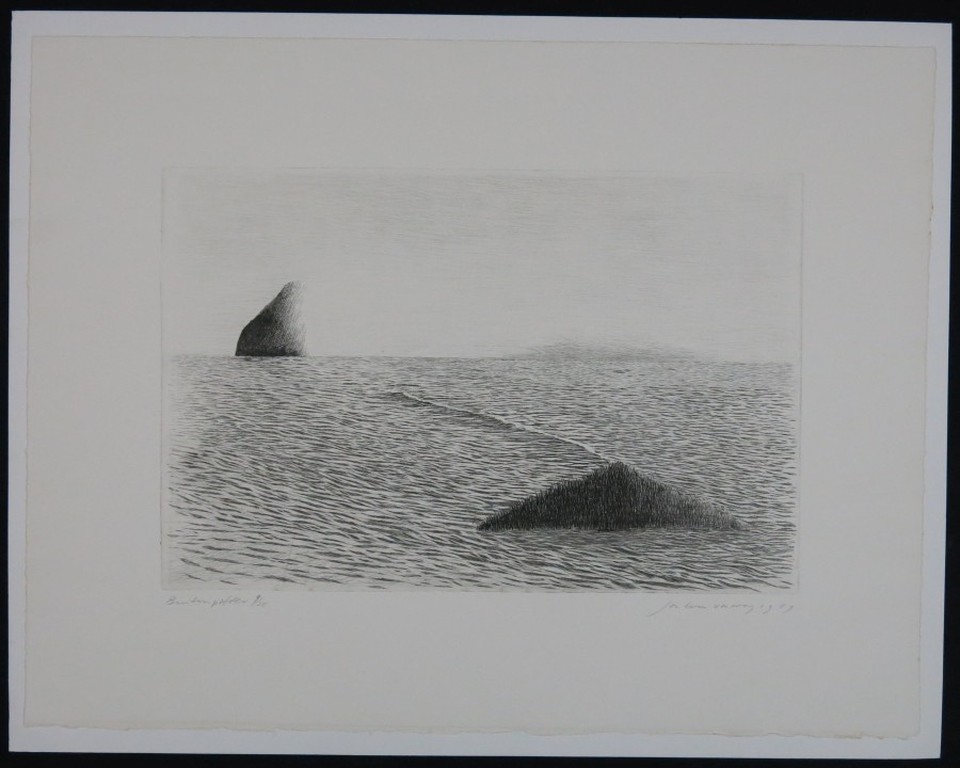 Jan Hein van Rooy - Jan Hein van Rooy: Ets, Buitenpolder Verkocht ...