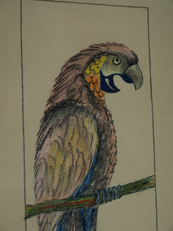 G. Janssen – Oude krijttekening – Roze Ara – Gesigneerd & ingelijst ...