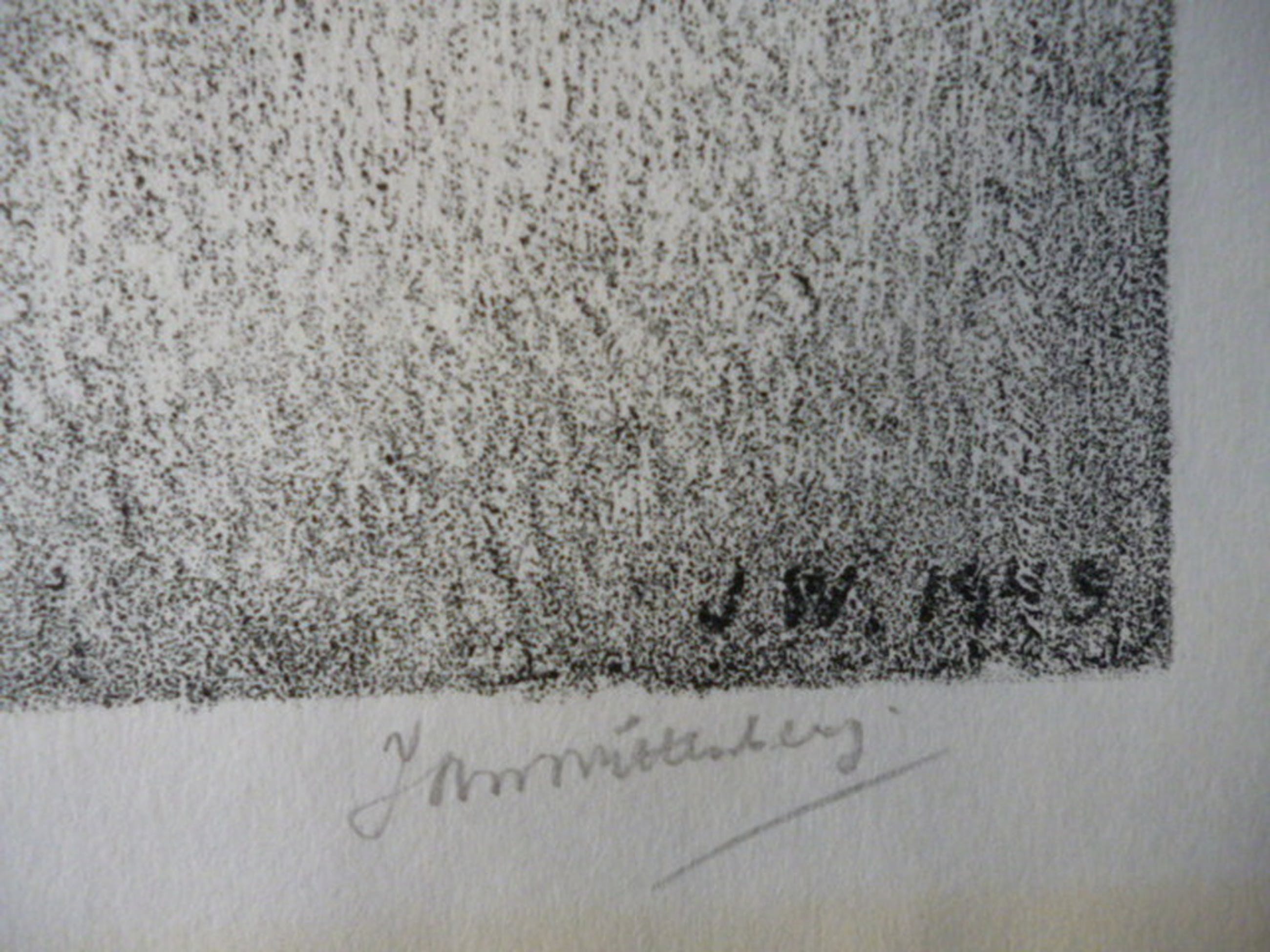 Jan Wittenberg - litho - Geit in de weide Verkocht | Kunstveiling.nl