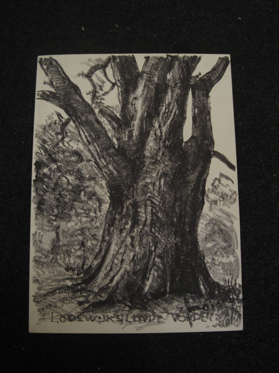 Frans Mars - Tekening Lodewijkslinde Vorde van Zaanse impressionist ...