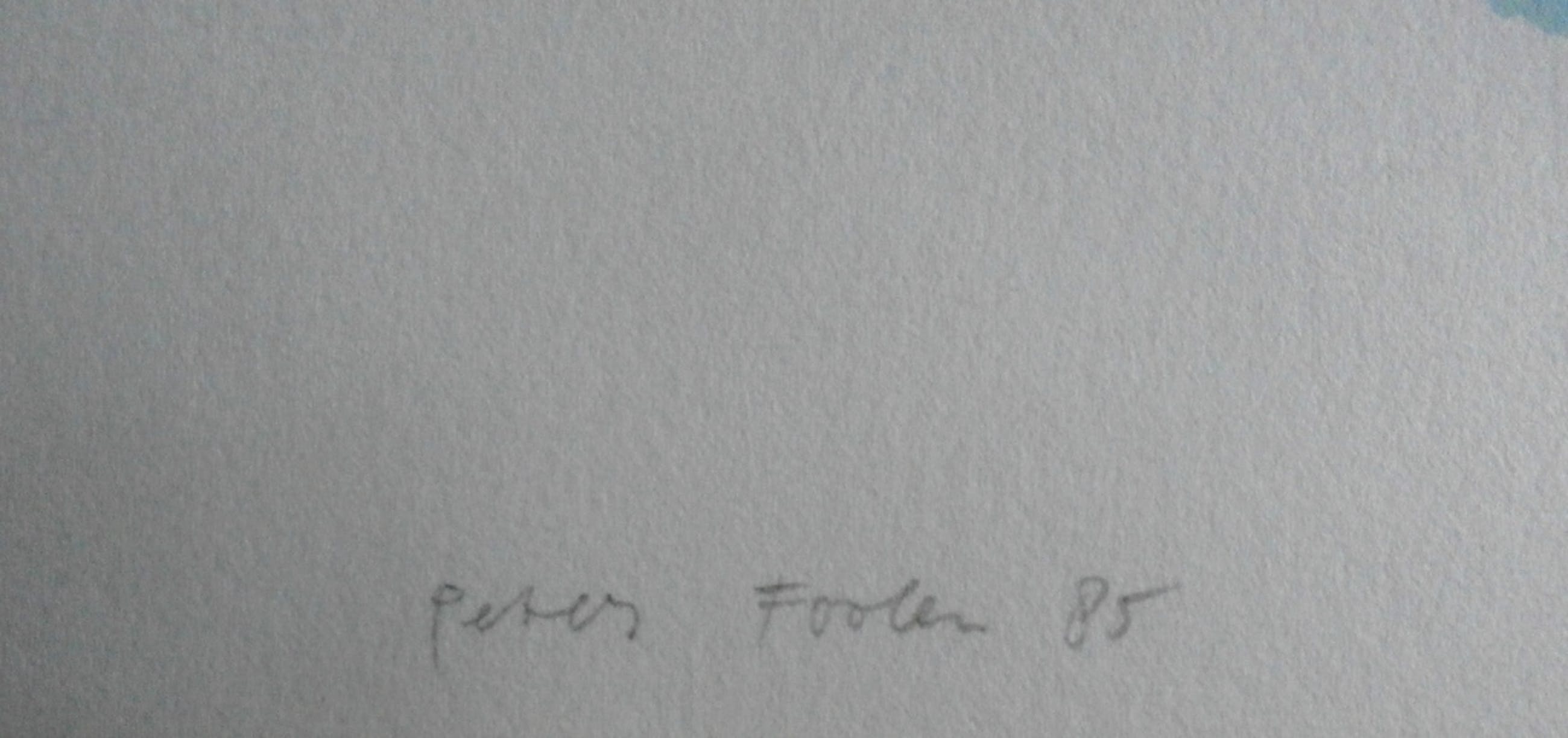 Peter Foolen - Peter Foolen - zeefdruk - 1985 Verkocht | Kunstveiling.nl