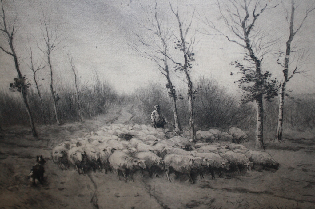 C.L. Dake - SCHAPEN OP LARENSE HEIDE VAN MAUVE door C DAKE verkauft ...