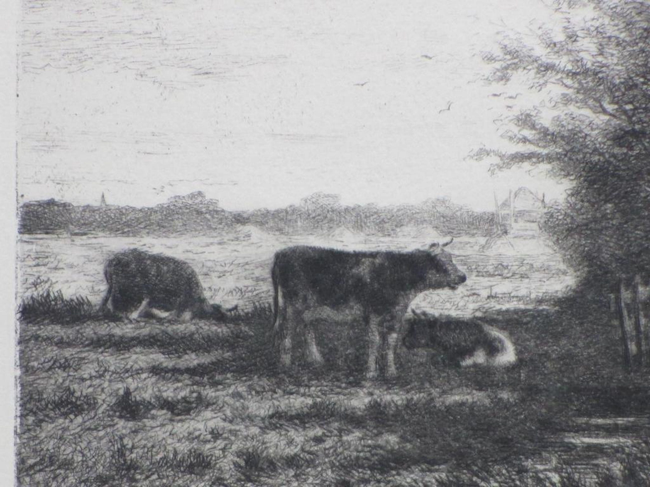 Jan Vrolijk - Jan Vrolijk, Vee in de weide, Ets Verkocht | Kunstveiling.nl