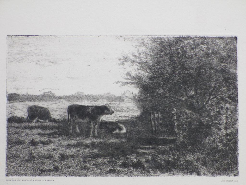 Jan Vrolijk - Jan Vrolijk, Vee in de weide, Ets Verkocht | Kunstveiling.nl