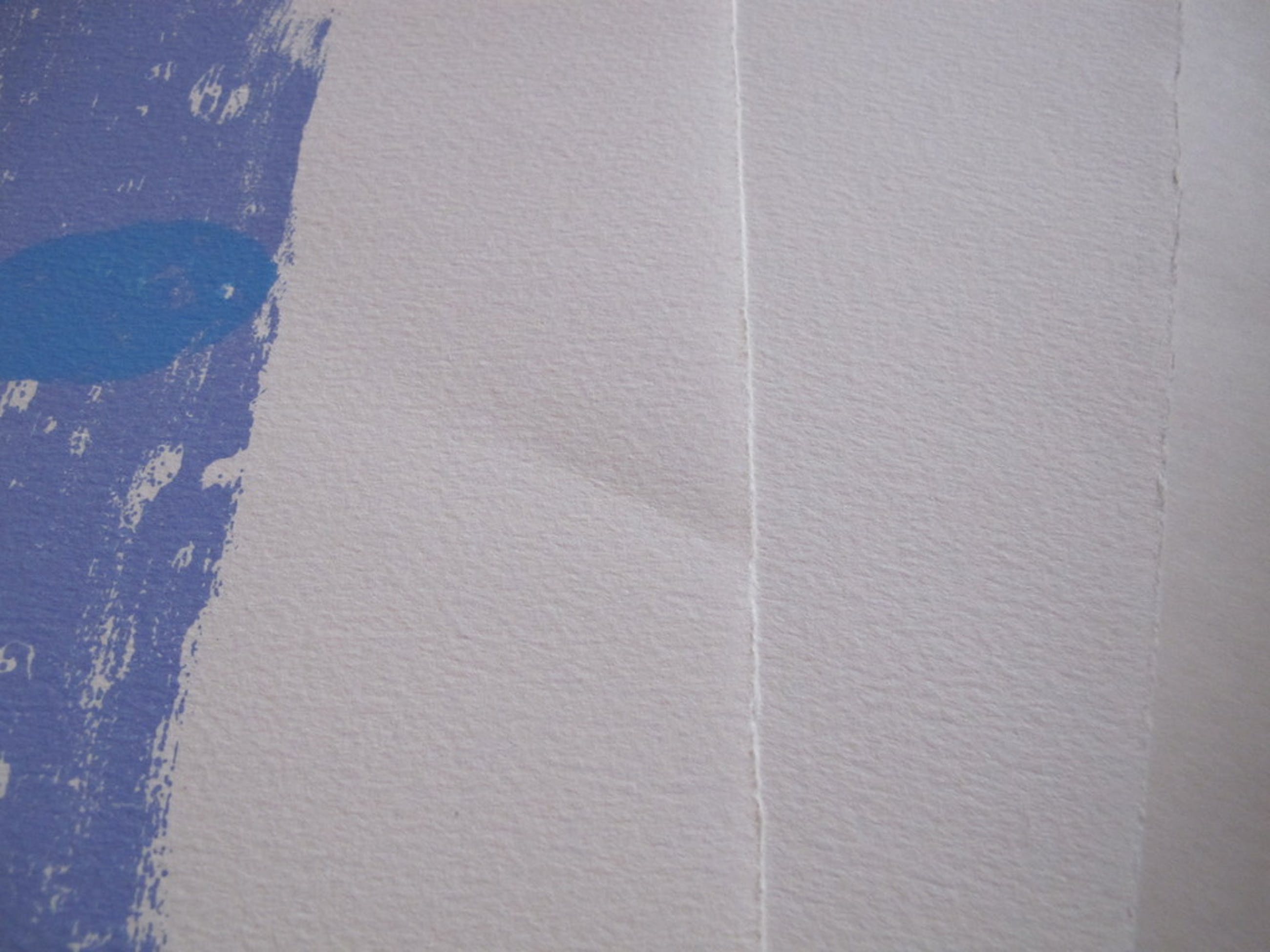 Anne Semler, kleurenlito uit 1992 Verkocht | Kunstveiling.nl