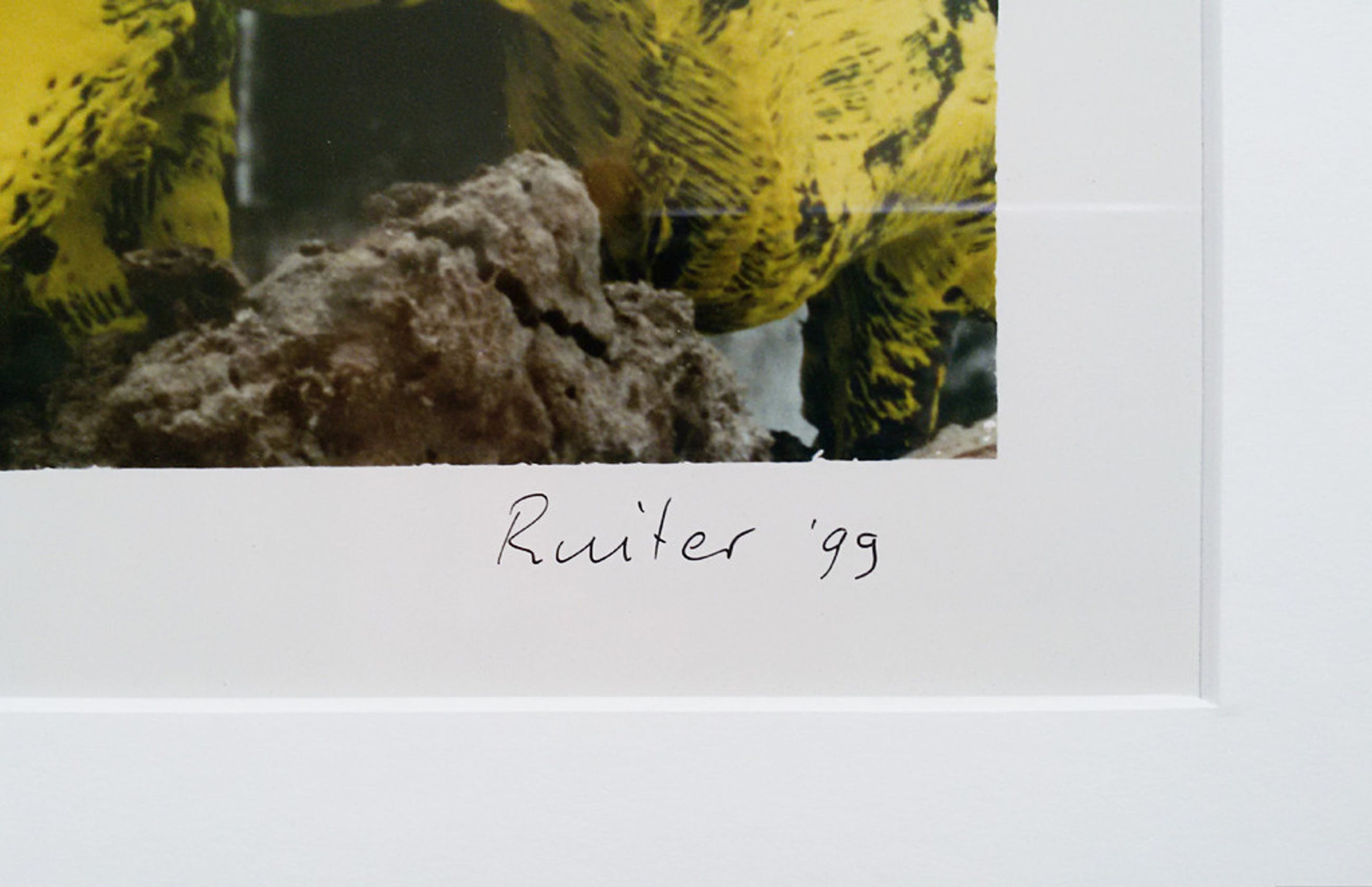 Jean Ruiter - Jean Ruiter - Inferno II, foto (mooi ingelijst, groot ...