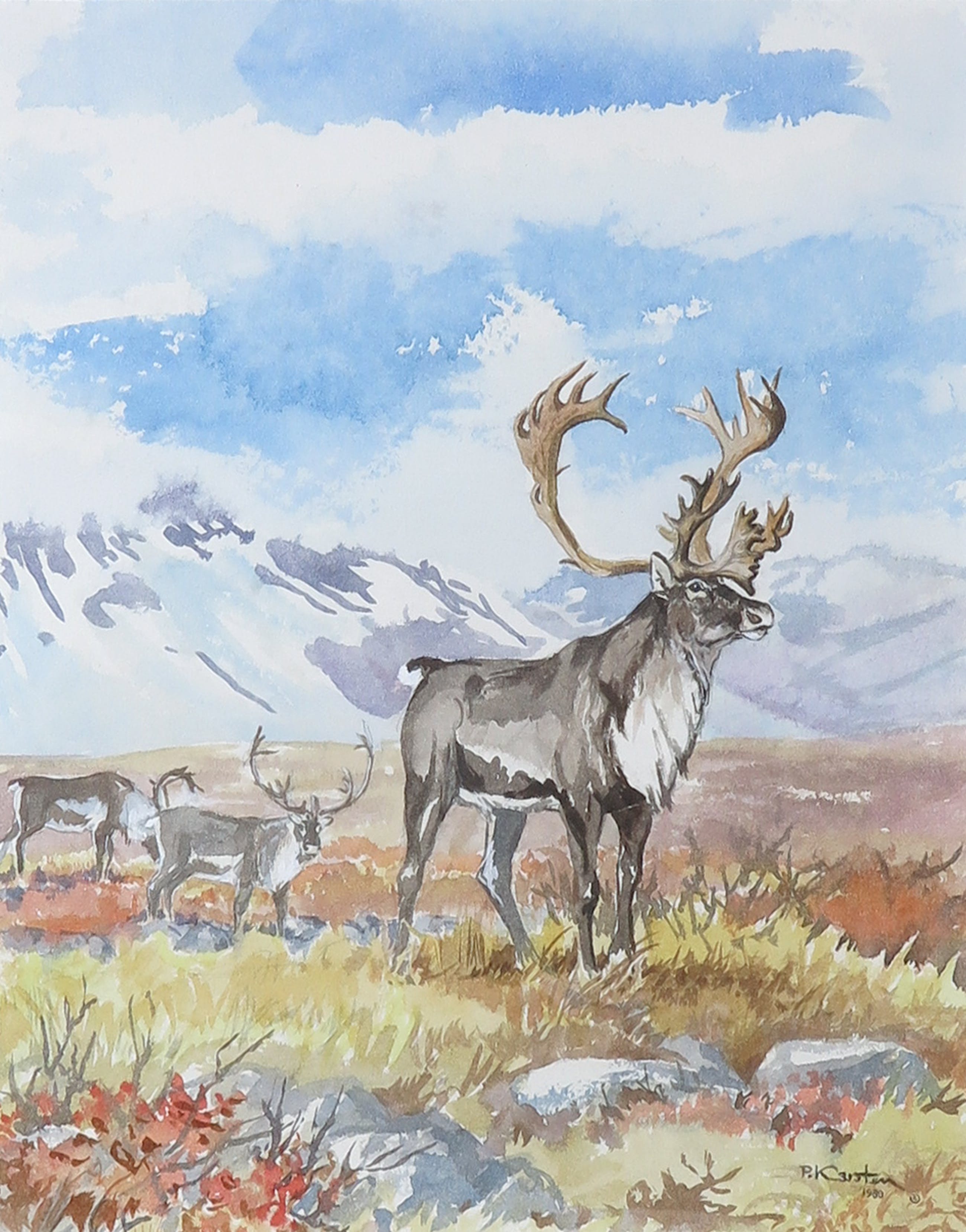 Peter Karsten - Aquarel, Rendieren op de steppe - Ingelijst Verkocht ...