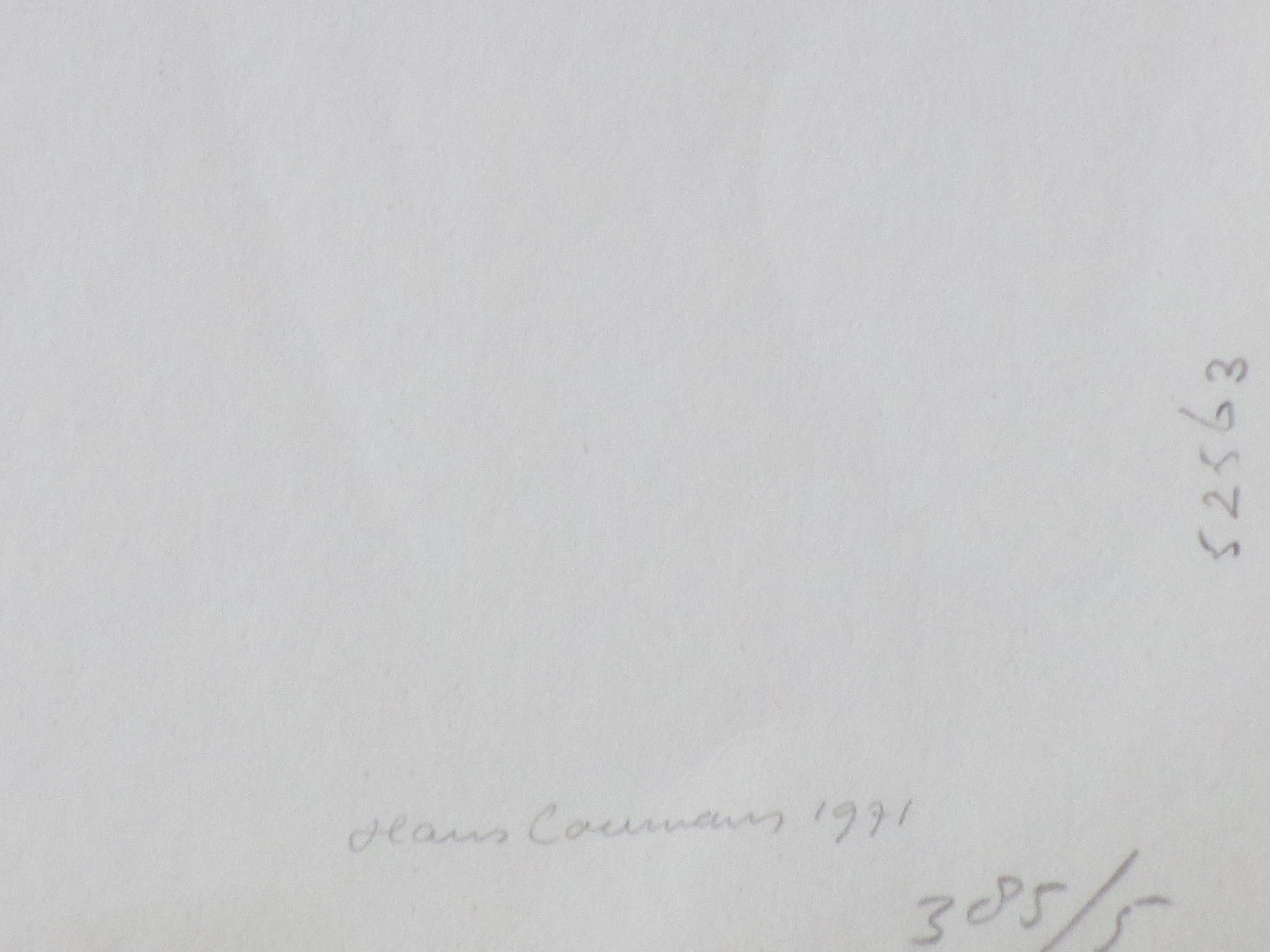 Hans Coumans - Leeg Landschap - Kleurenlitho Verkocht | Kunstveiling.nl