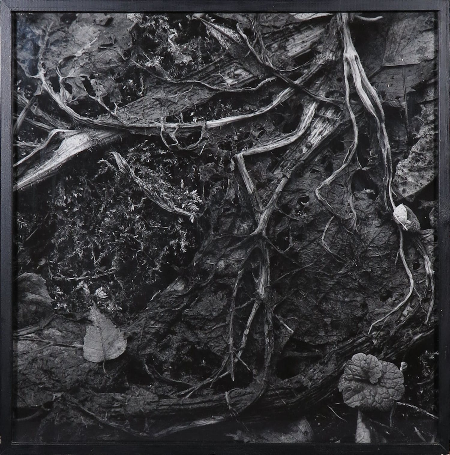 Kunst kopen van Jos Reinders? | Kunstveiling.nl