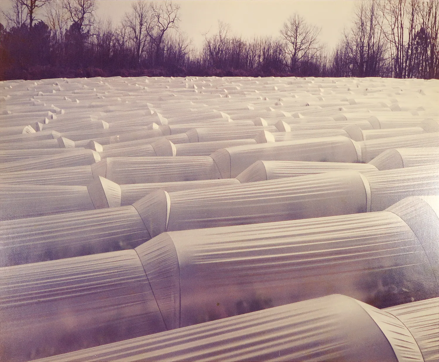 Ida Oxenaar - Foto, Gletscher III Verkocht | Kunstveiling.nl