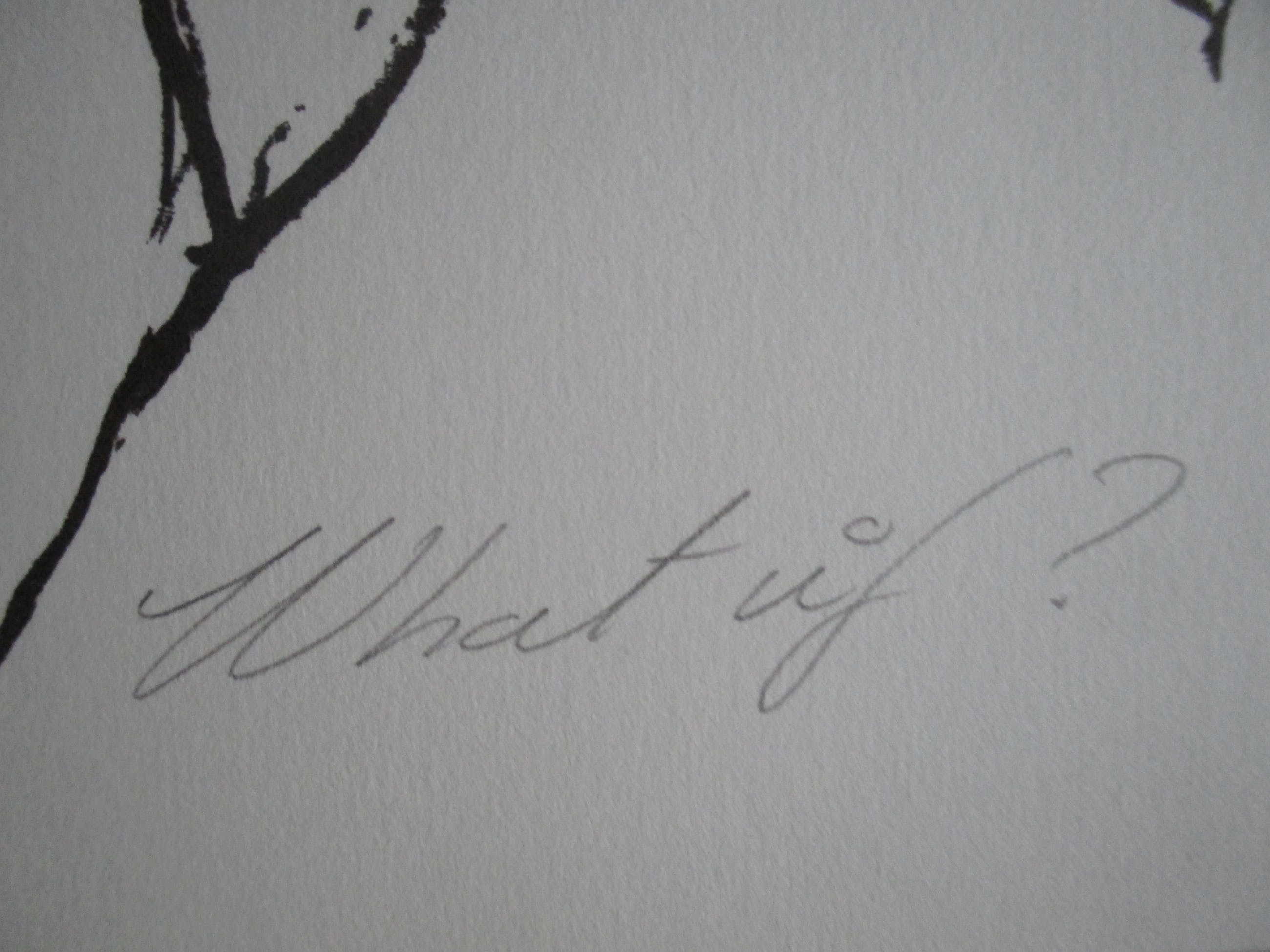 Jonathan Comerford - Zeefdruk "What if?" Verkocht | Kunstveiling.nl
