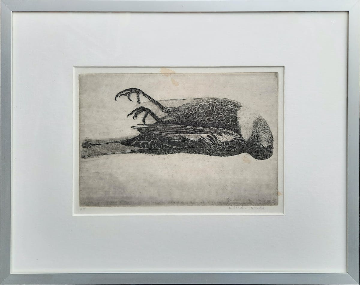 Charles Donker - Dode Beflijster kop naar rechts - bijzondere ets uit ...