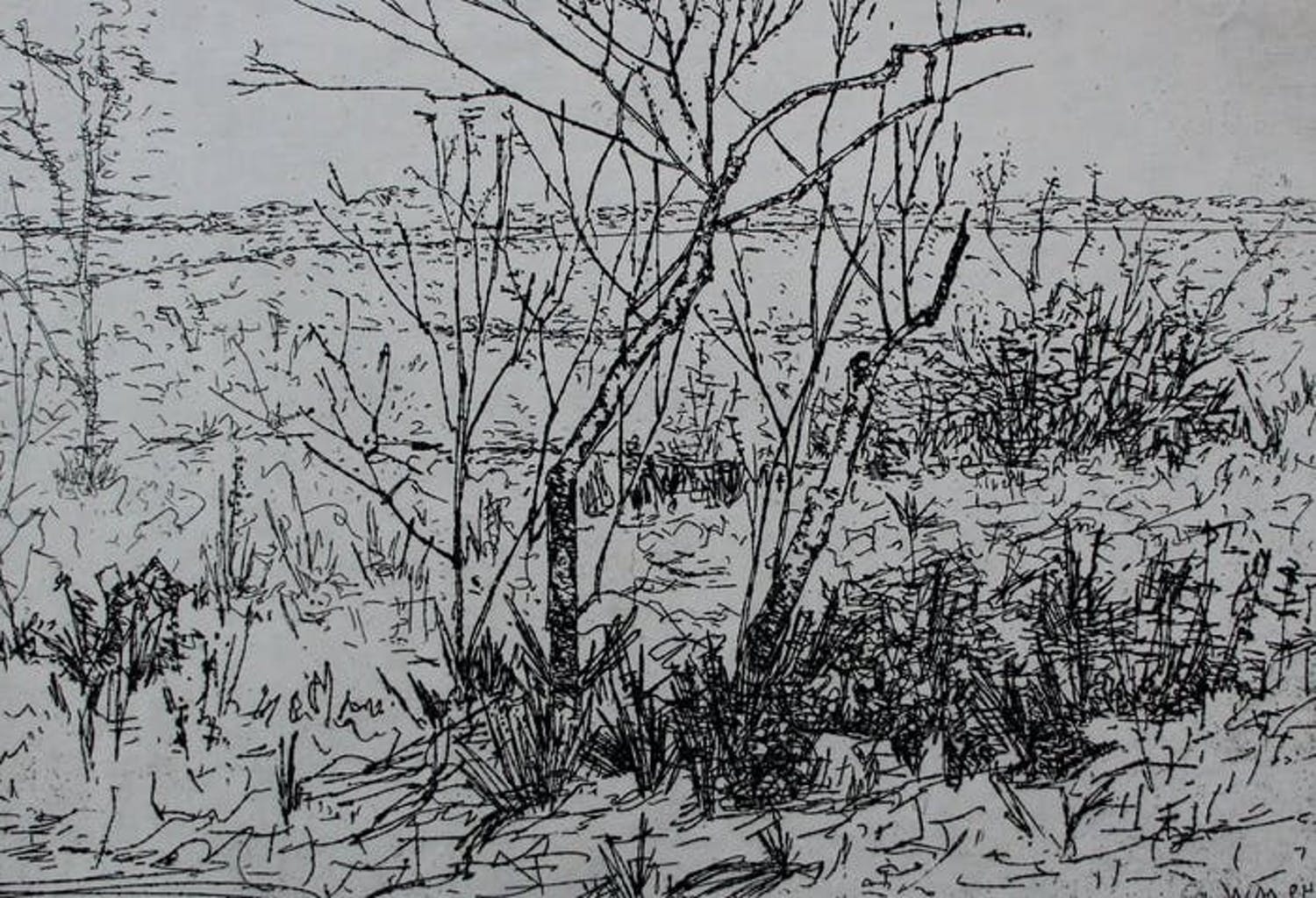 Willem Minderman - ets: Wassenaar(duinen) Verkocht | Kunstveiling.nl