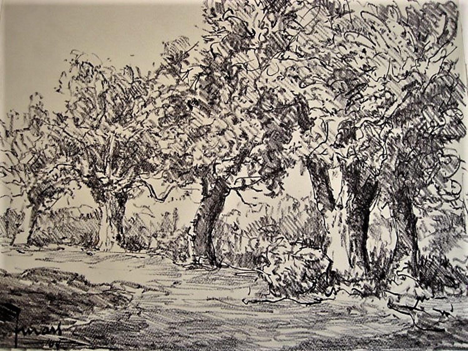 Frans Mars - Grote gesigneerde Inkttekening "Lindebomen aan het ...