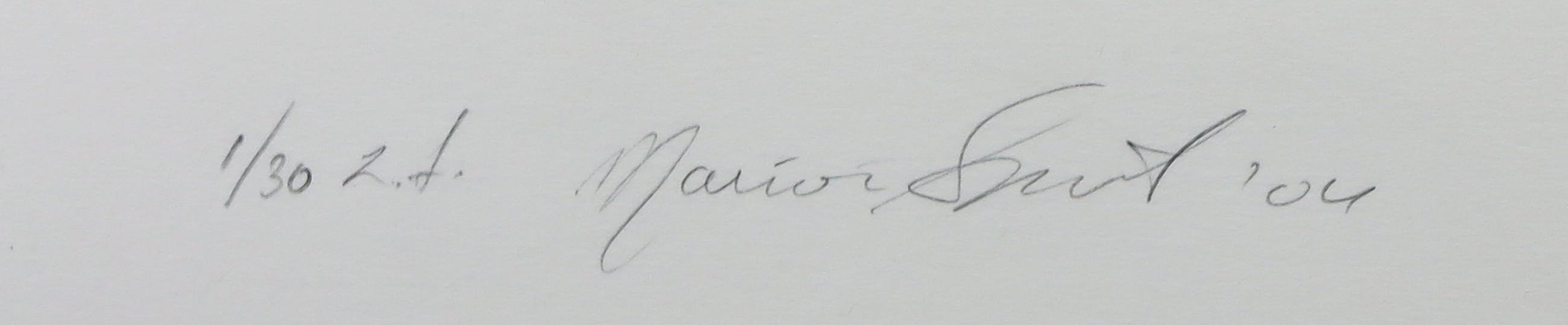 Marion Smit - Ets en aquatint, Z.T. - Ingelijst Verkocht | Kunstveiling.nl