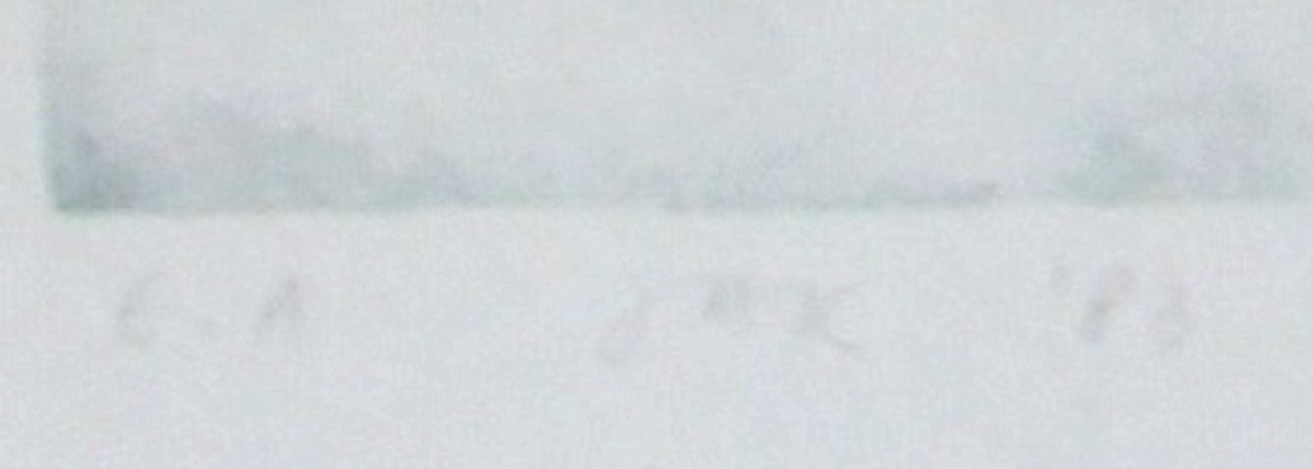 Hans Koopman - litho: Lichte maaltijd - 1983 Verkocht | Kunstveiling.nl