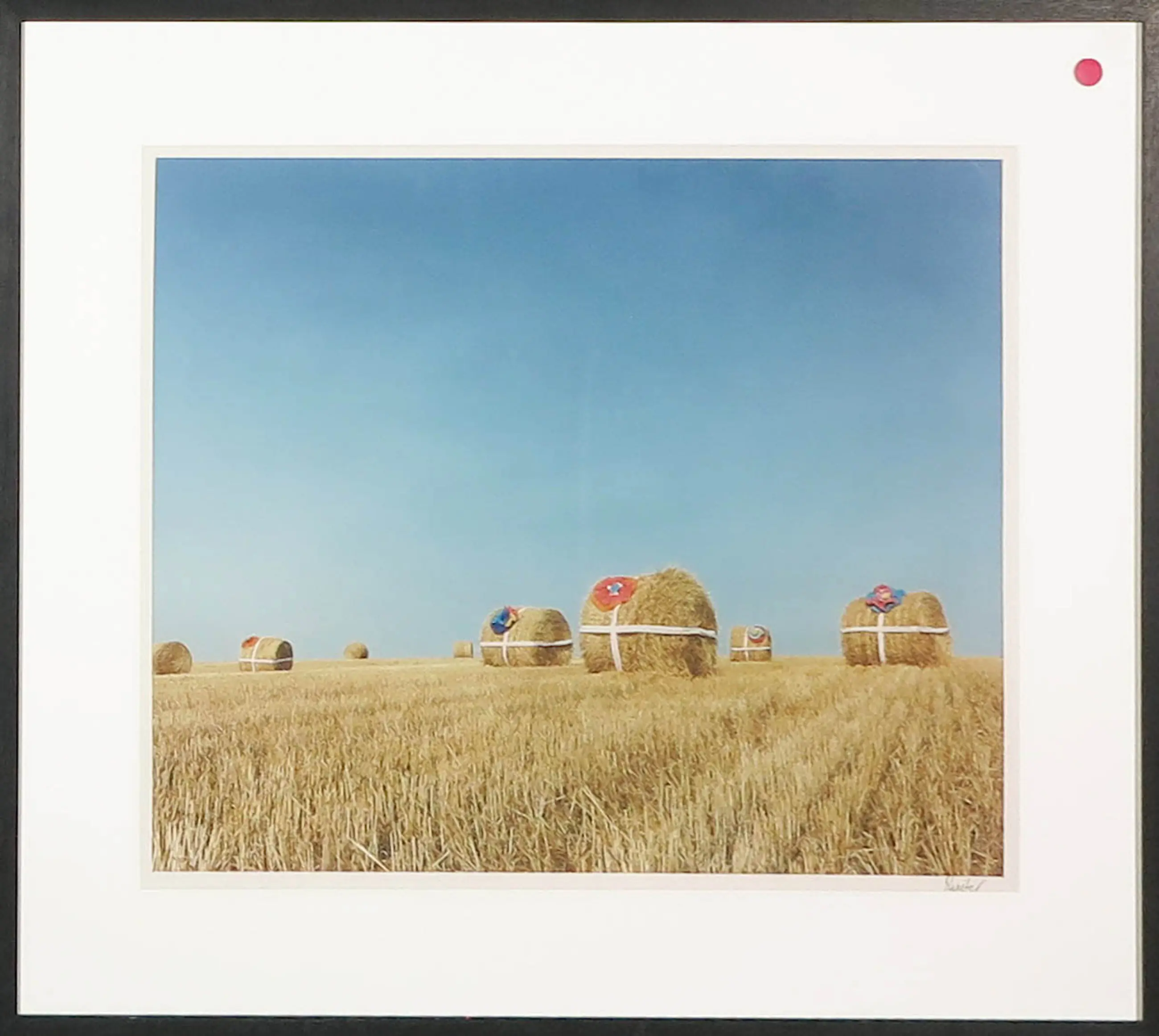 Jean Ruiter - Foto, Present of the field - Ingelijst Verkocht ...