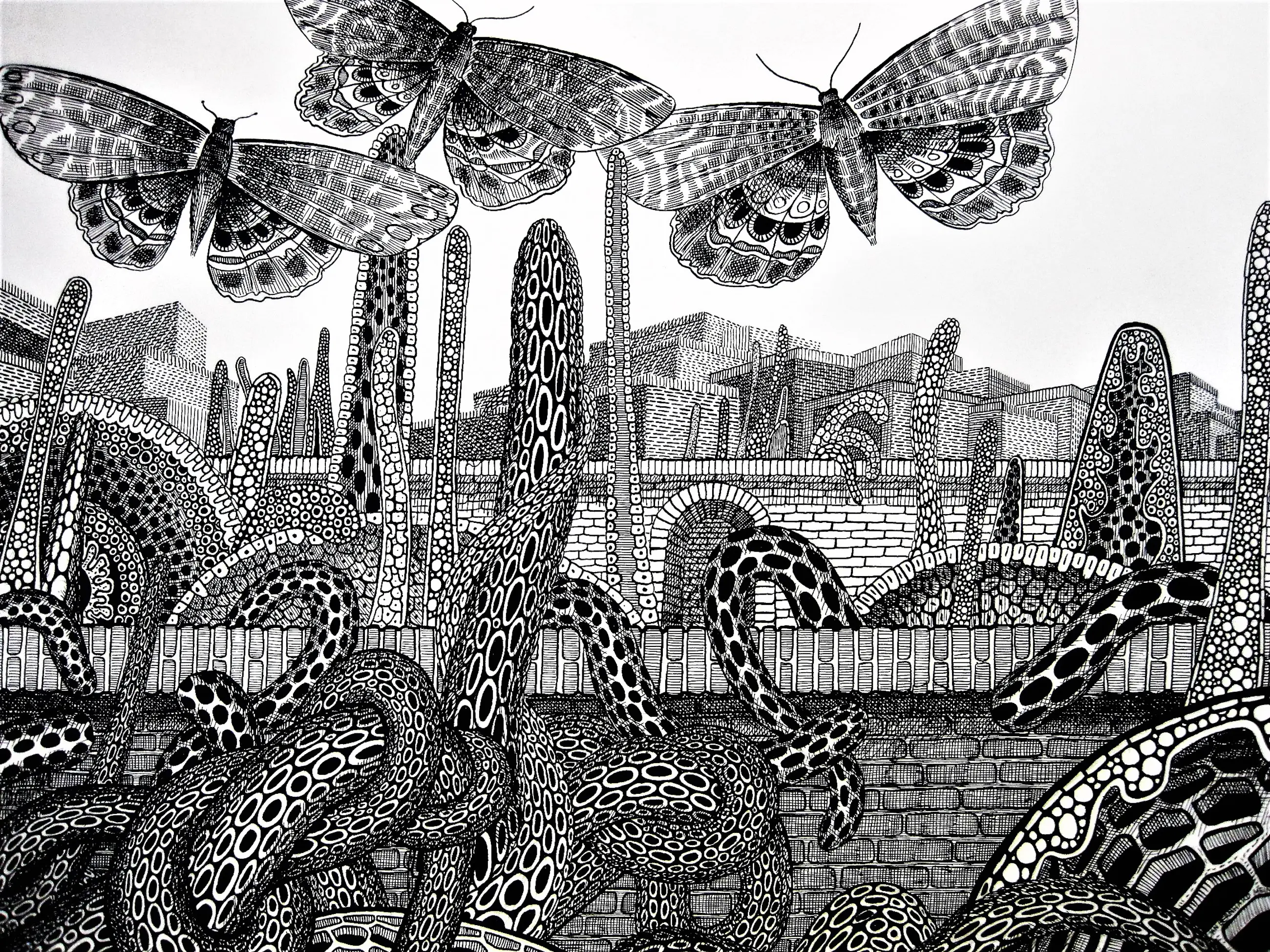 Jan Bernard Meinen - Grote & gedetailleerde Inkt-tekening "Vlinders bij ...