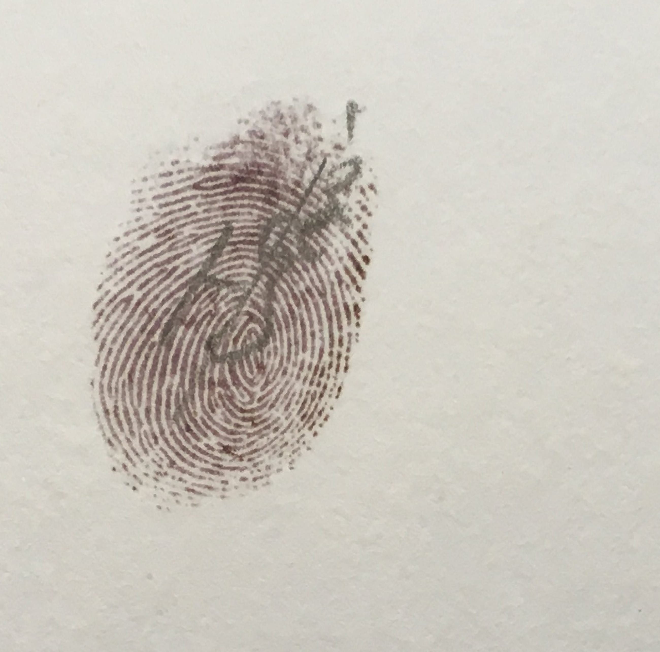 Henk de Bouter - Kruisdraak - gesign. zeefdruk Verkocht | Kunstveiling.nl