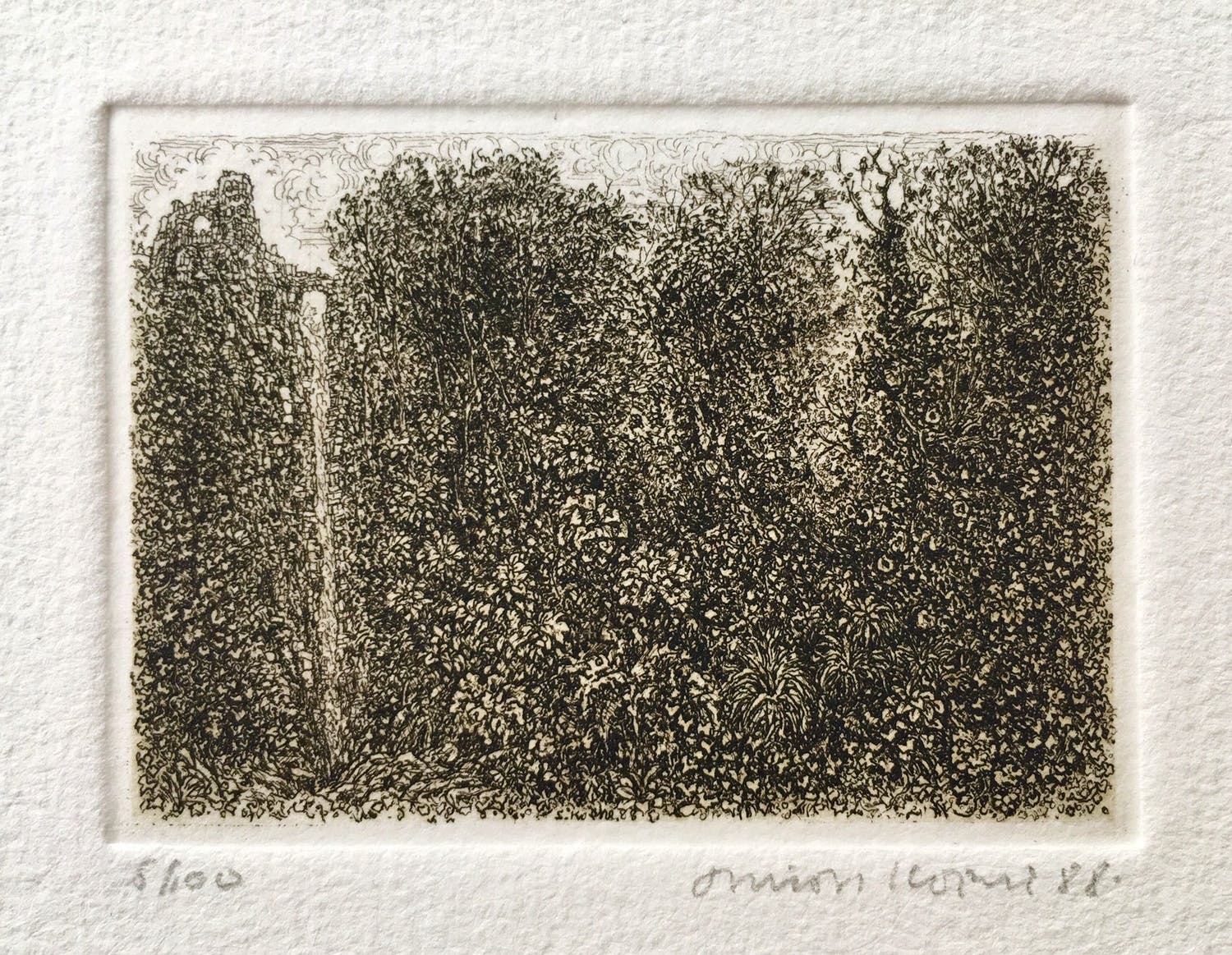 Simon Koene - Tropisch oerwoud met diepe kloof Verkocht | Kunstveiling.nl