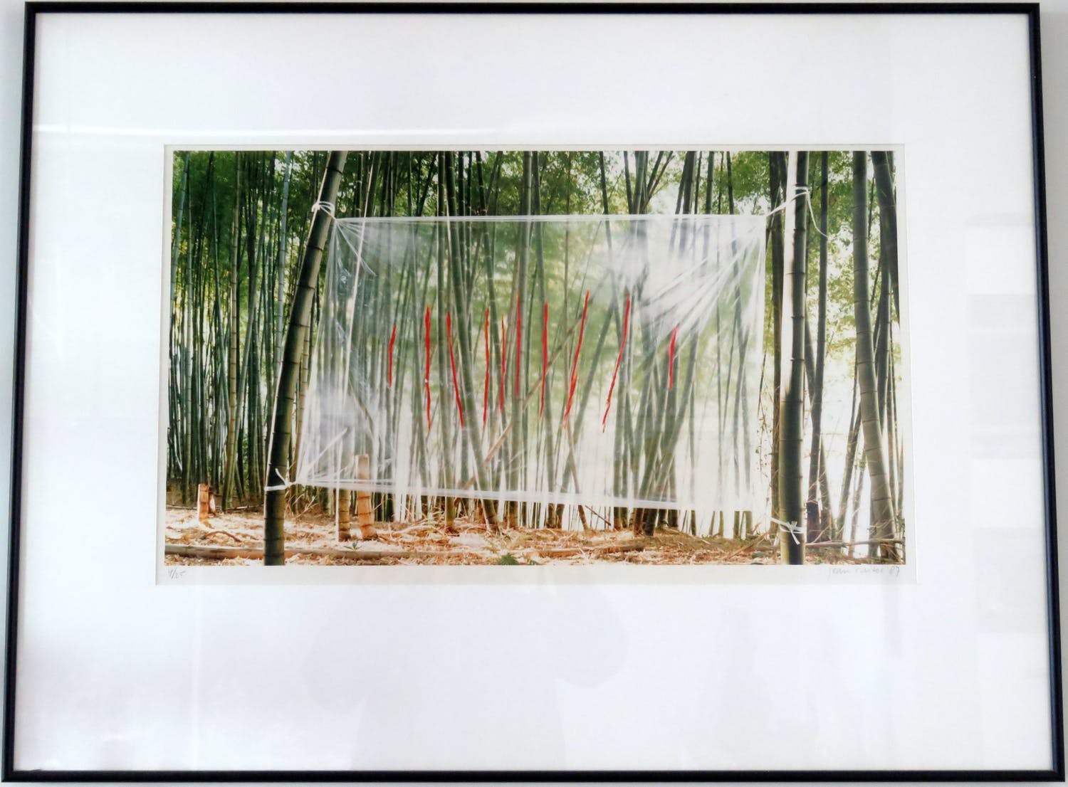 Jean Ruiter - Bamboe sculpture kopen? Bied vanaf 600! | Kunstveiling.nl