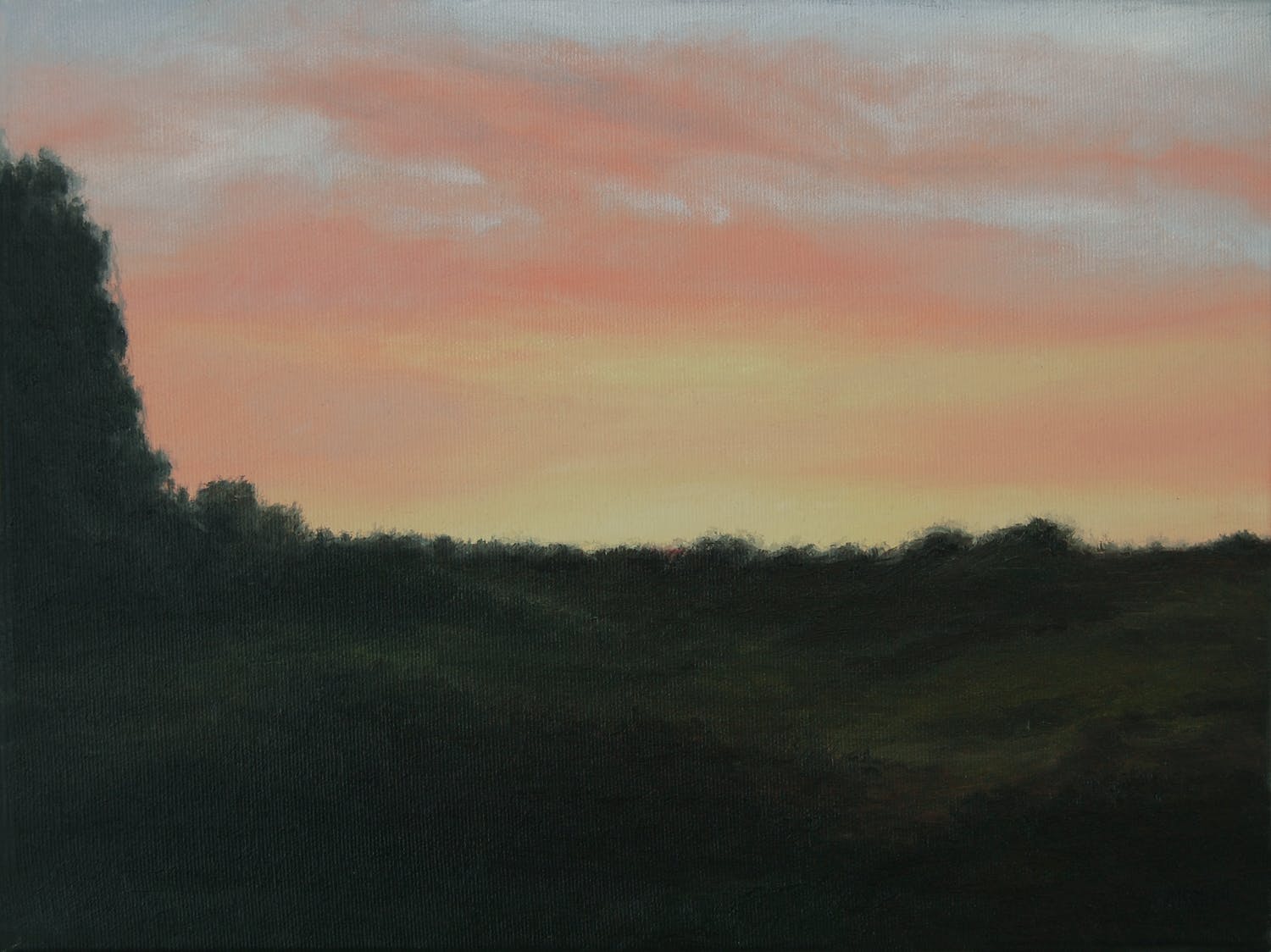 Peter Heij - Lostland XIV Verkocht | Kunstveiling.nl