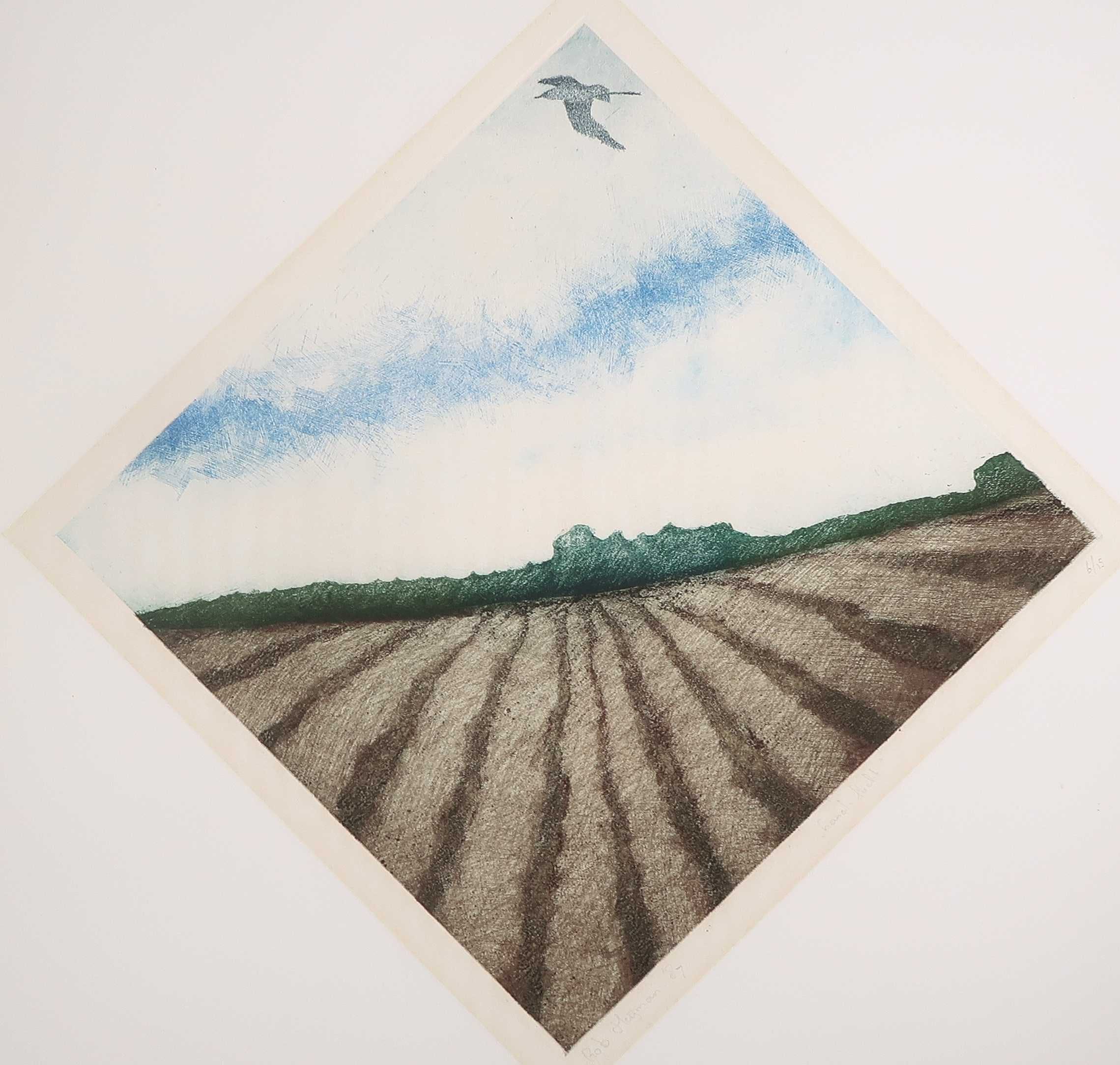 Rob Heijman - Ets, Land-Lucht Verkocht | Kunstveiling.nl