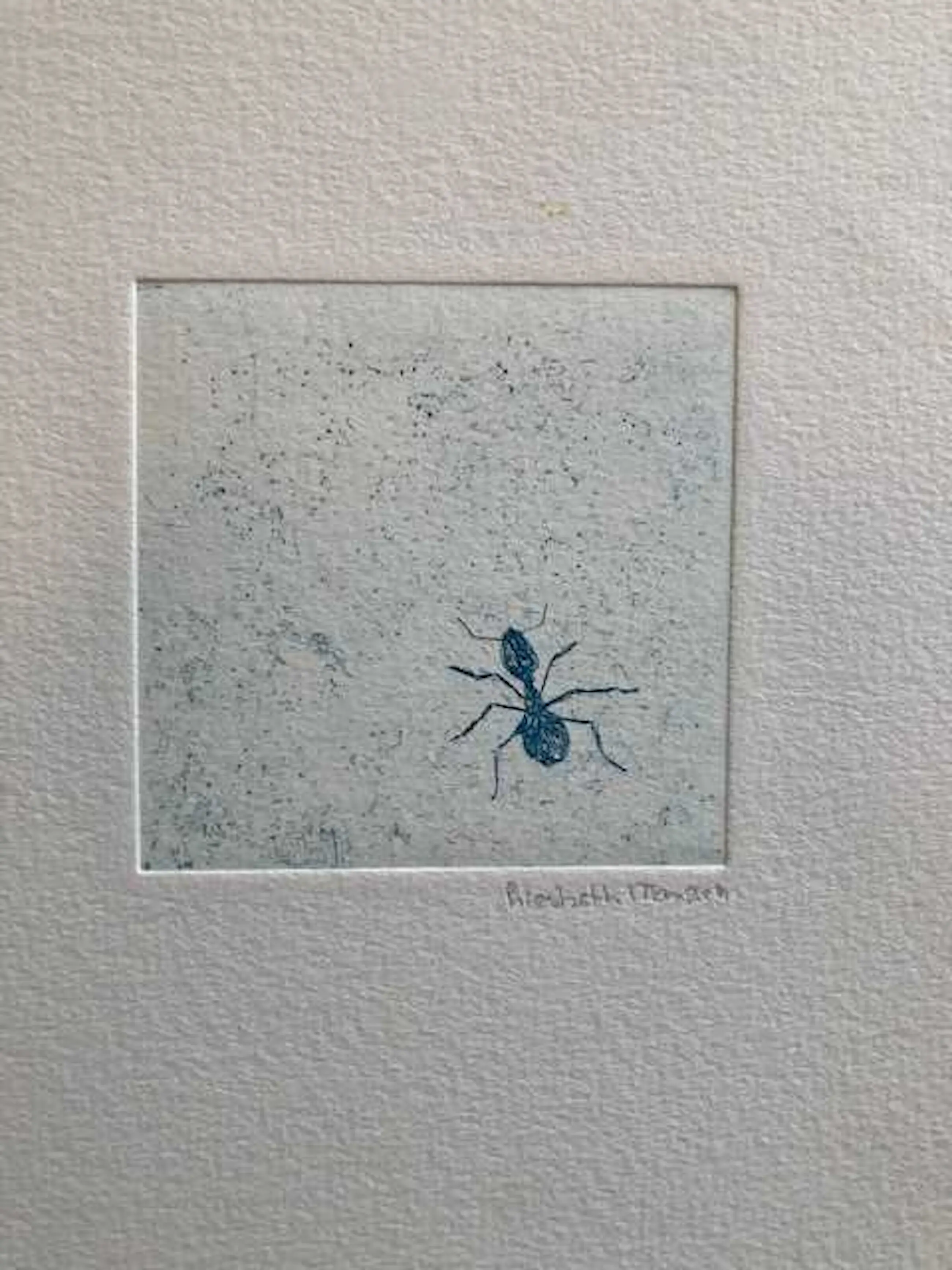 Jan Willem Post - Lot van 10 dieren prenten van verschillende ...