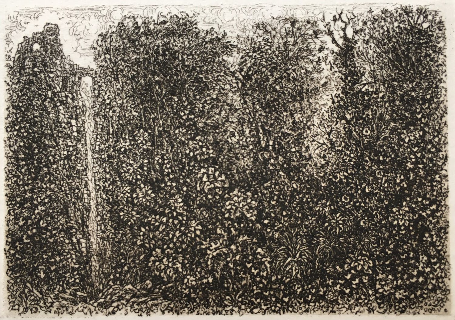 Simon Koene - Tropisch oerwoud met kloof en burcht Verkocht ...