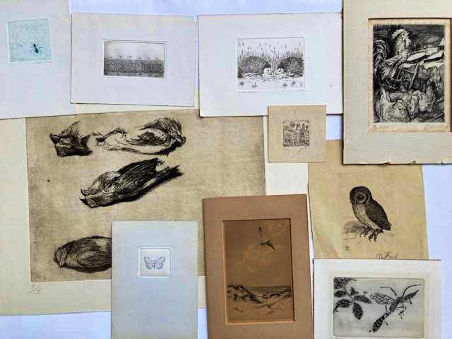 Jan Willem Post - Lot van 10 dieren prenten van verschillende ...