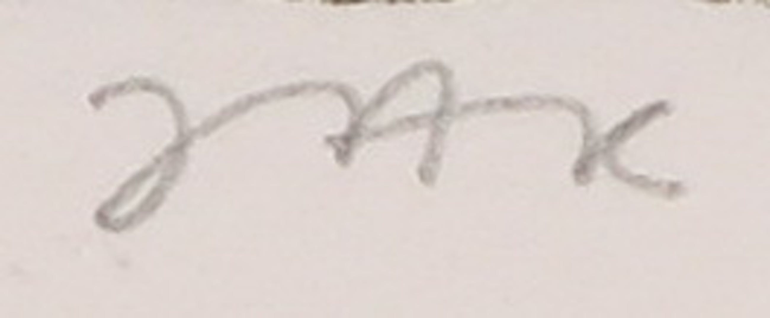 Hans Koopman - Litho, Balkonkruk - Ingelijst Verkocht | Kunstveiling.nl