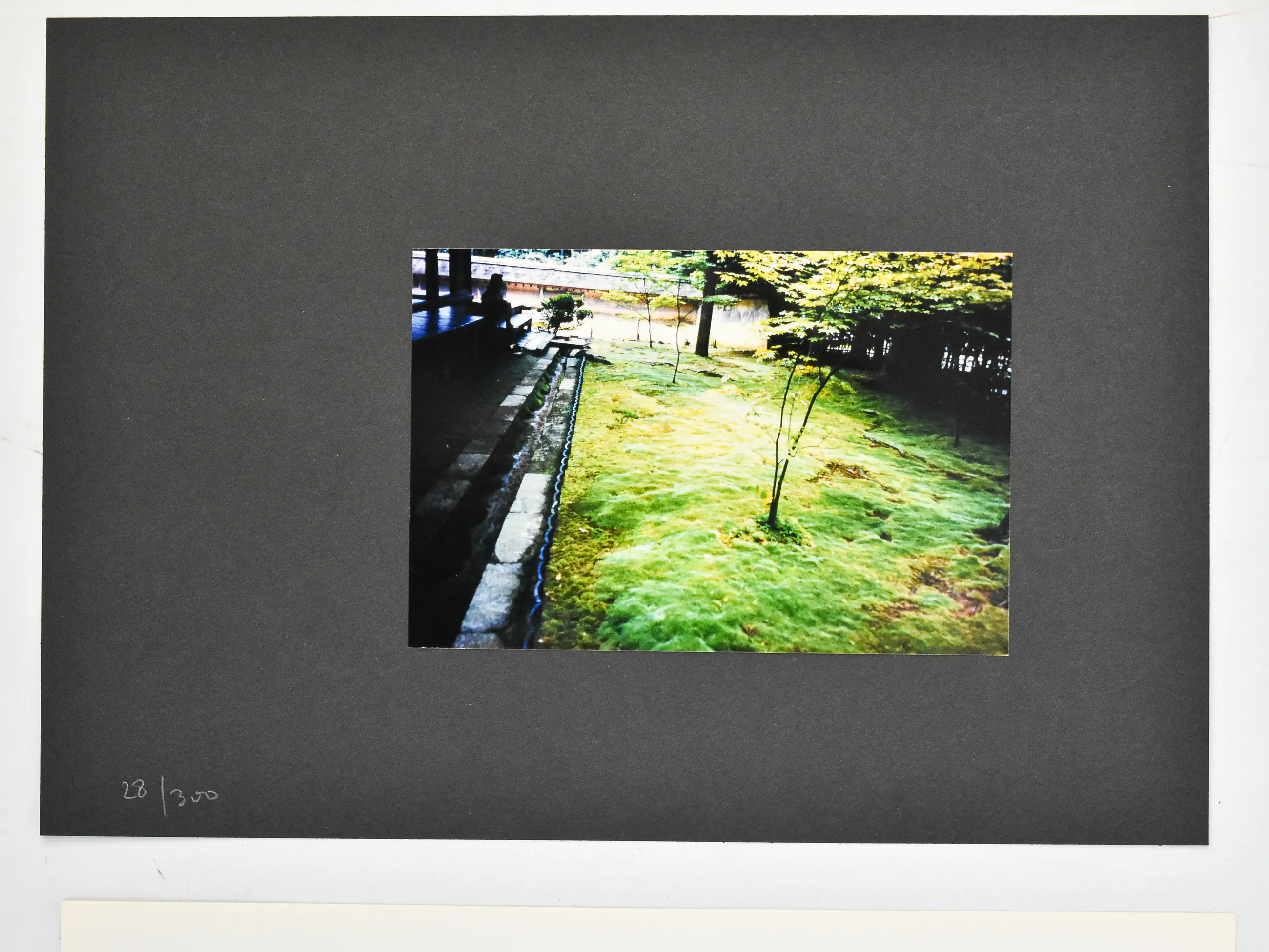 JCJ VANDERHEYDEN - Pieter Alewijns, Thomas Ankum, Ruud Balk, Berrie van ...