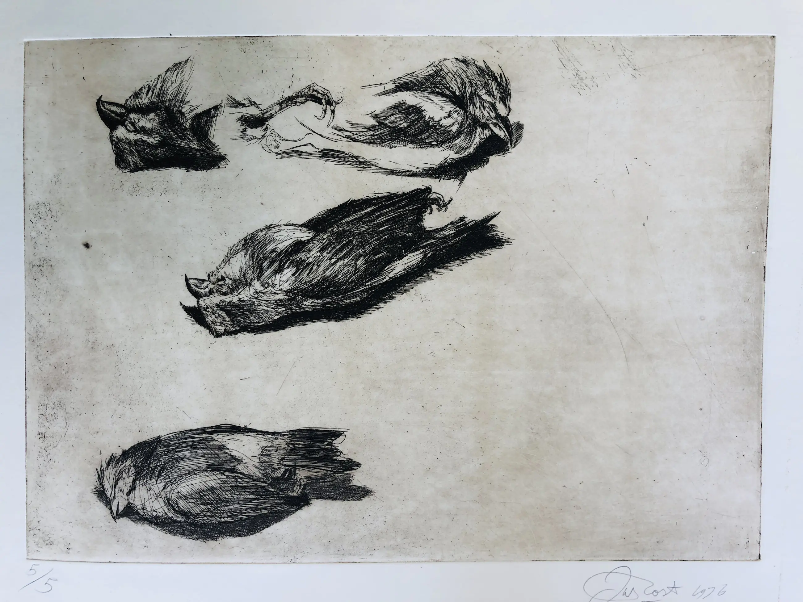 Jan Willem Post - Lot van 10 dieren prenten van verschillende ...