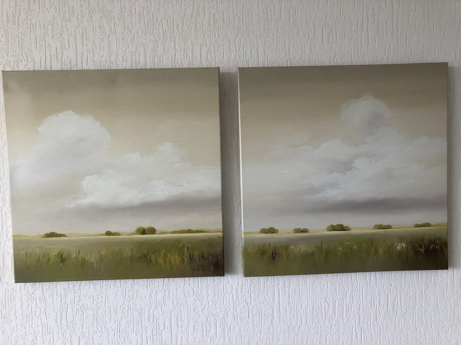 Hans Paus - The Green Field 1 en 2 Verkocht | Kunstveiling.nl