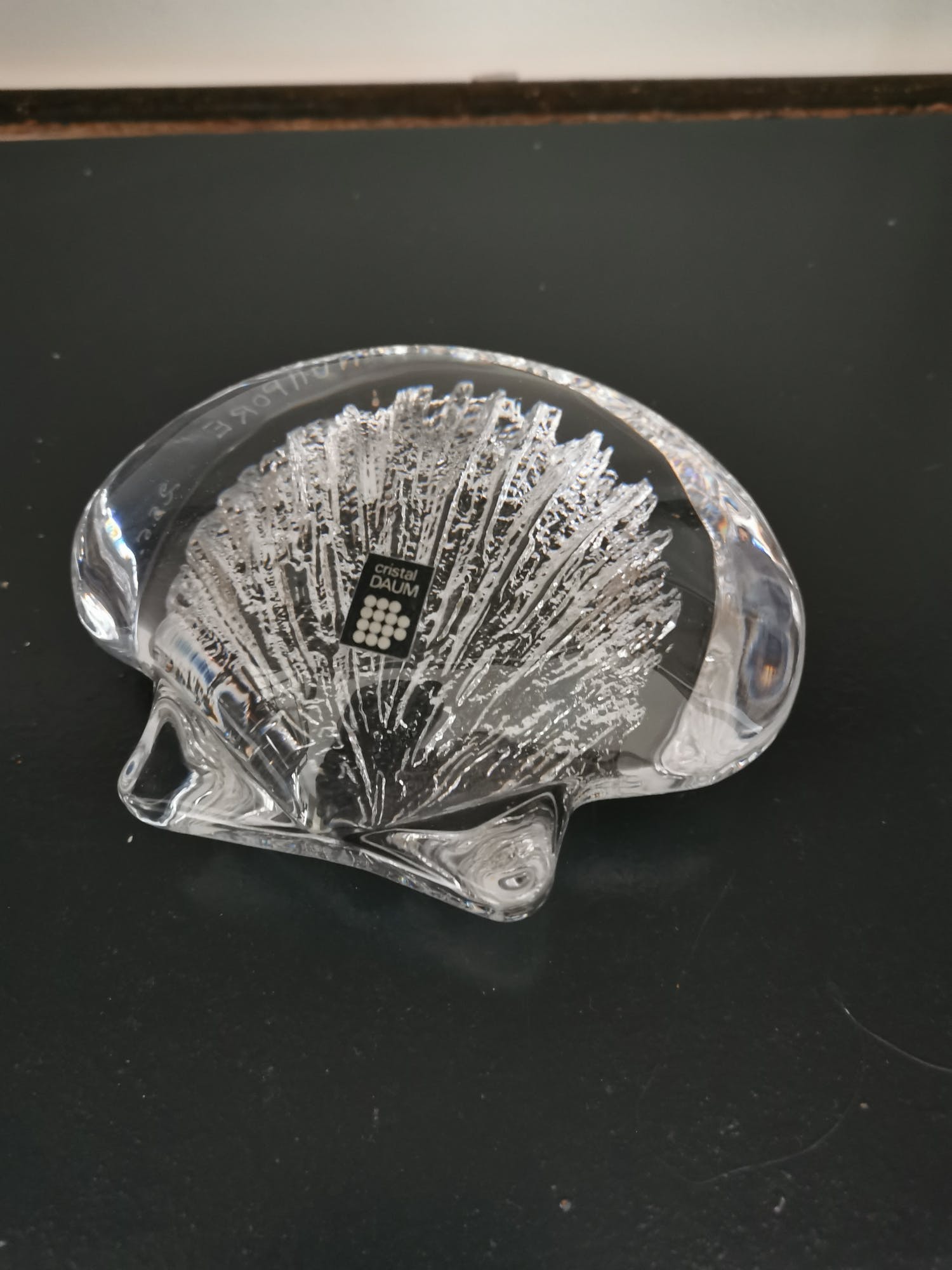 Daum Nancy - St jacques schelp Verkocht | Kunstveiling.nl