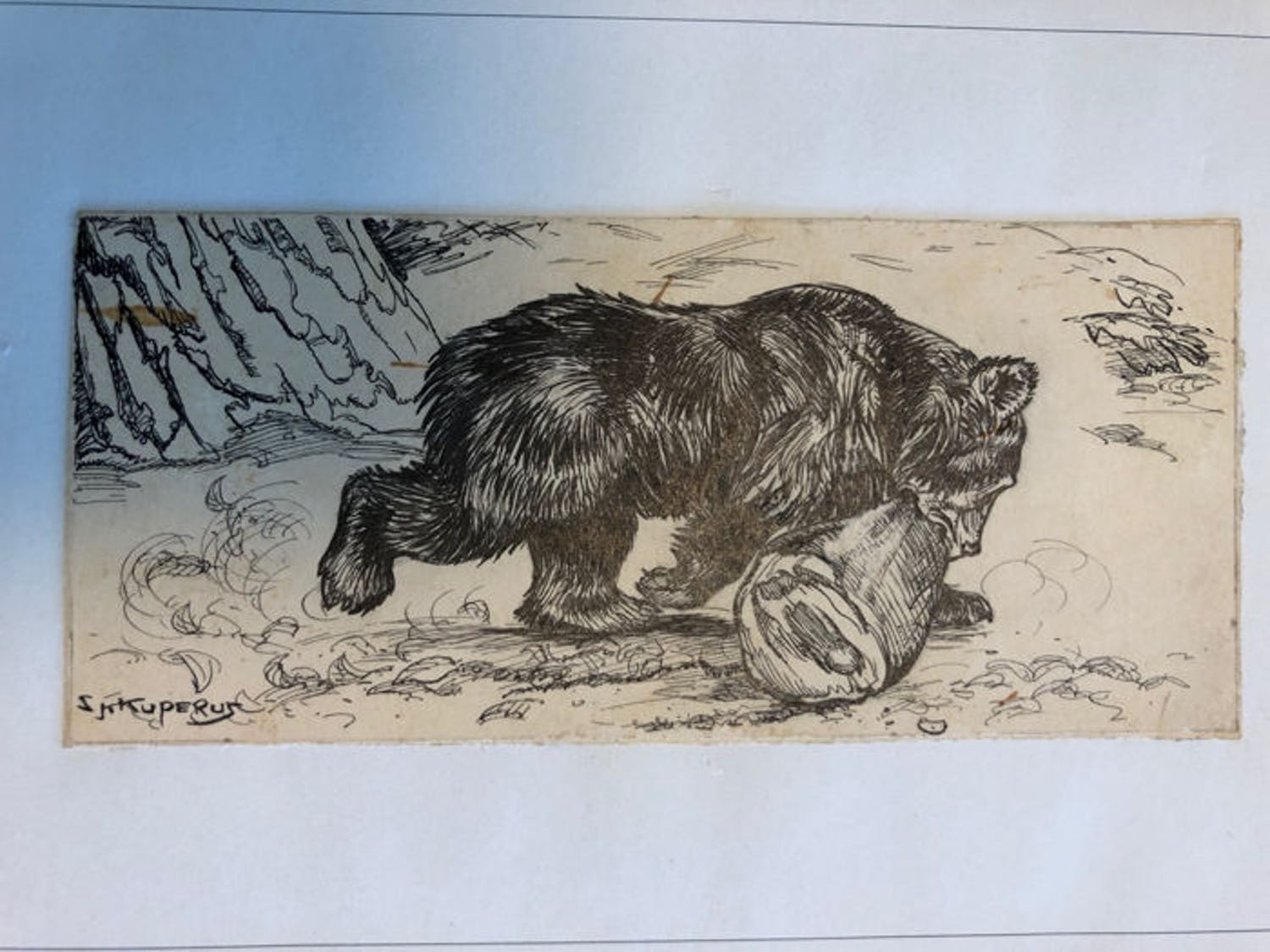 Want to buy Sjoerd Kuperus - Beer met vlees? Bid from 50! | Kunstveiling.nl