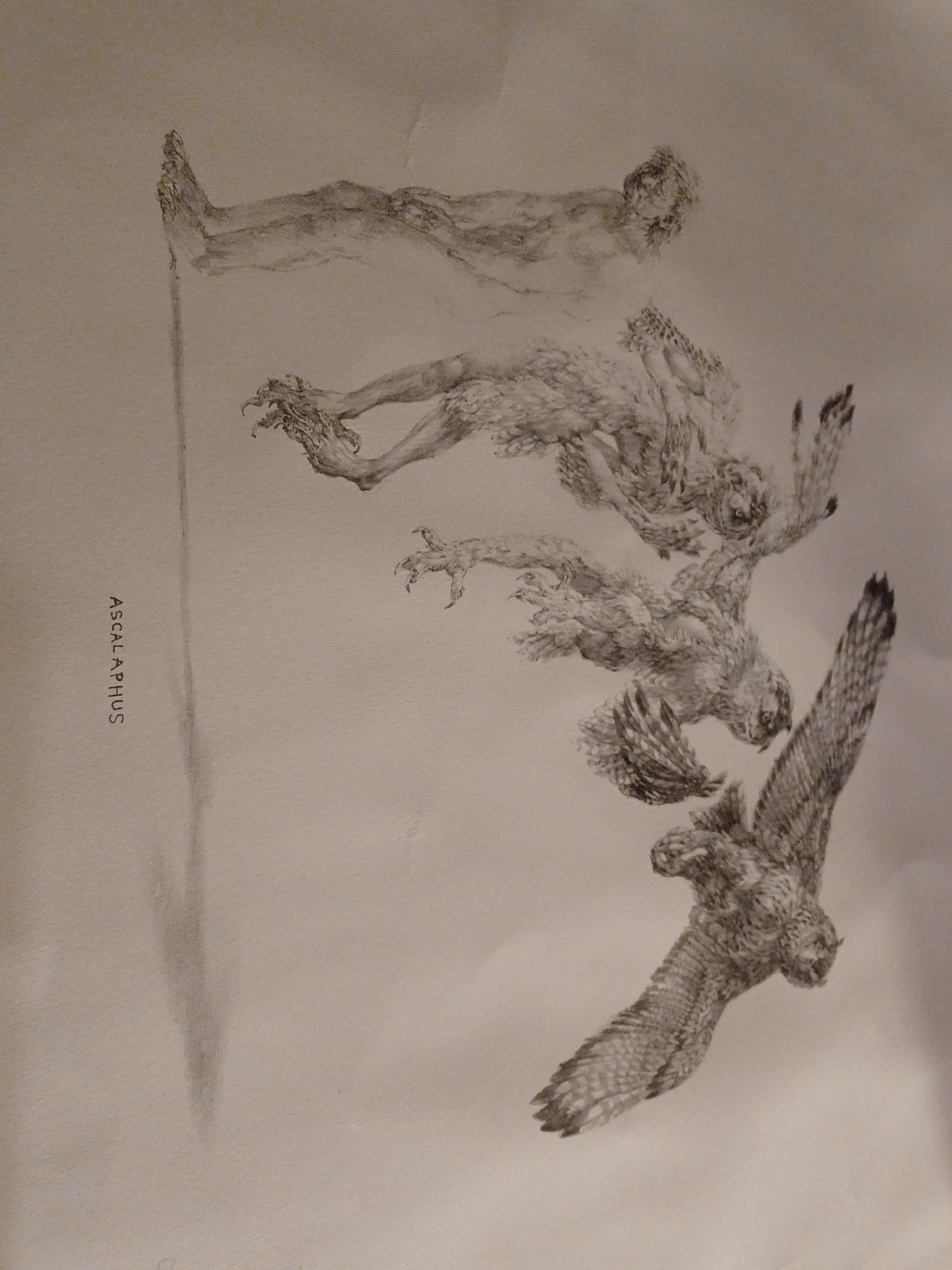 Peter Vos - Ascalaphus verkauft! Den Auktionserlös anzeigen. | Artpeers.de